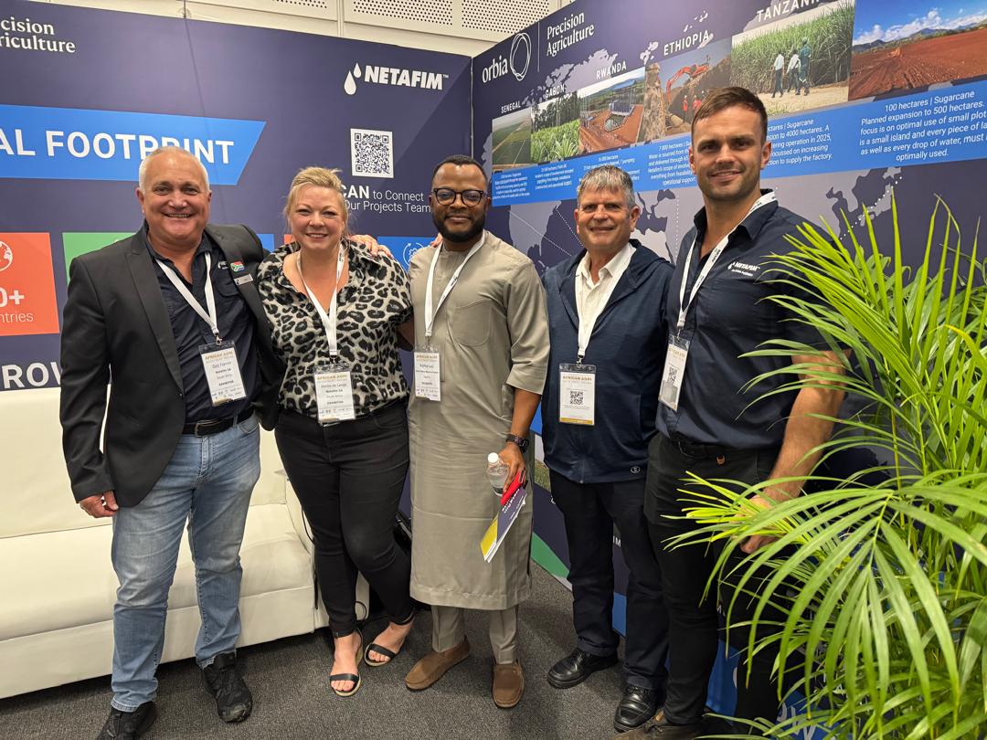 greysoft-technologies-empowering-digital-innovation