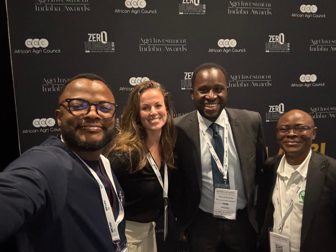 greysoft-technologies-empowering-digital-innovation